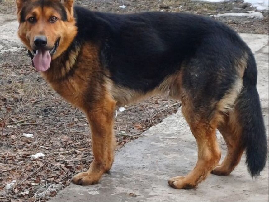 Вязка кабель немец