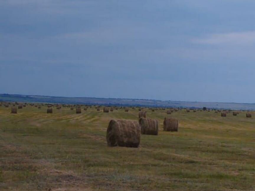 Продаётся сено