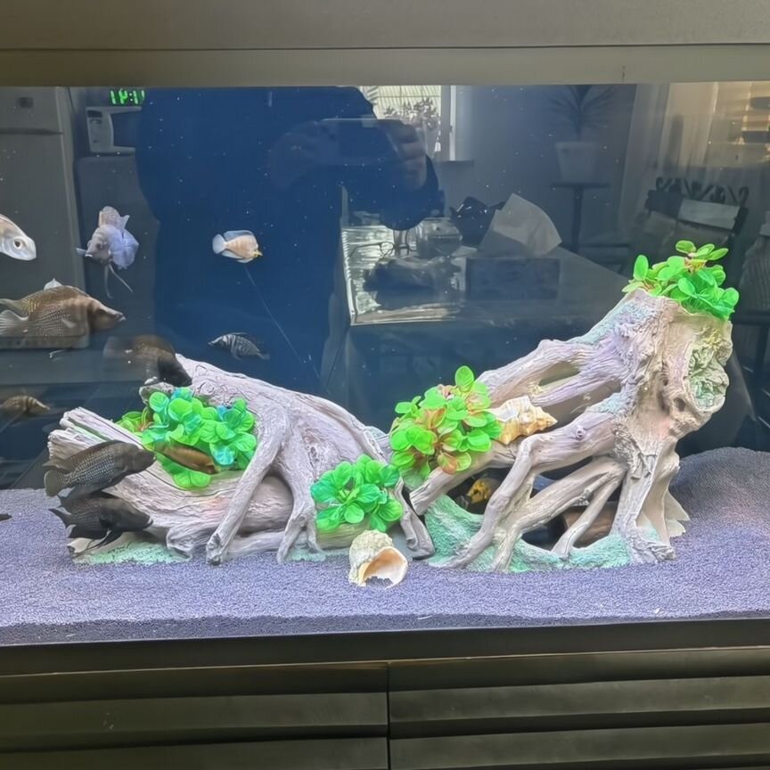 Аквариум на 500 литров с тумбой и сампом