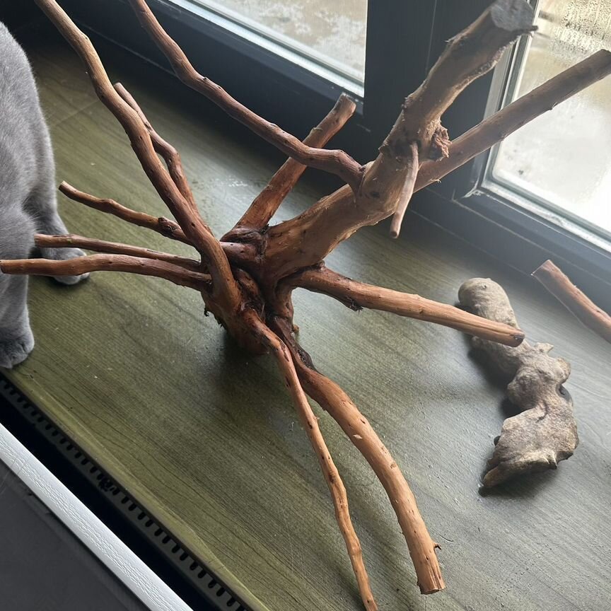 Коряги для аквариума