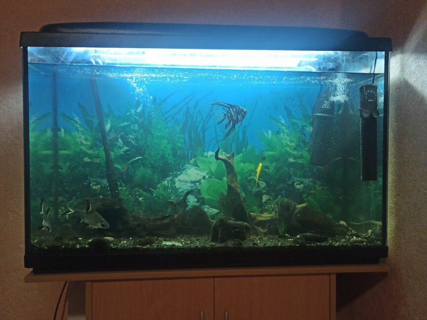 Аквариум