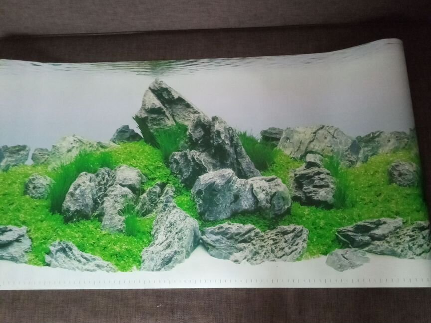 Задний фон для аквариума