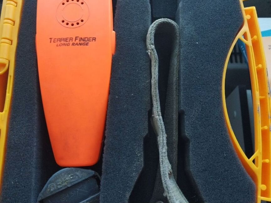 Терьер финдер