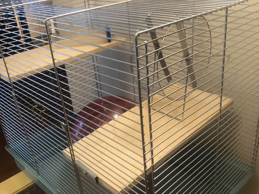 Клетка для грызунов большая ferplast