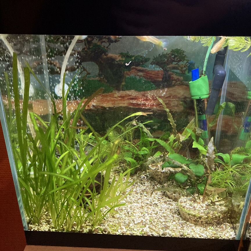 Продам аквариум с рыбками