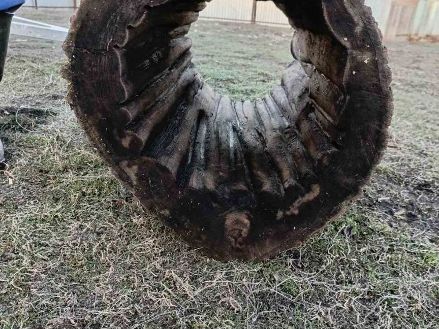 Колода для пчел