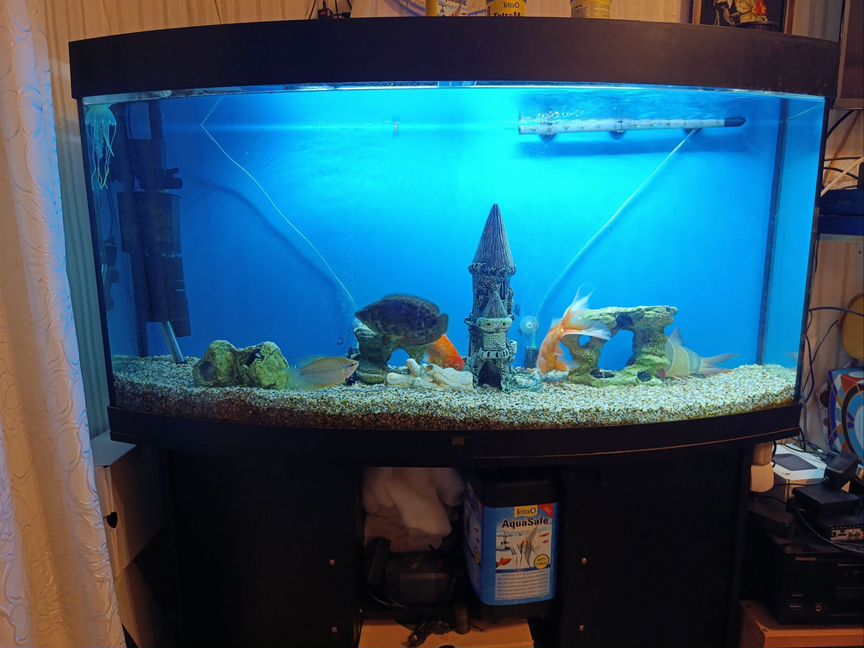 Аквариум с тумбой juwel vision 260