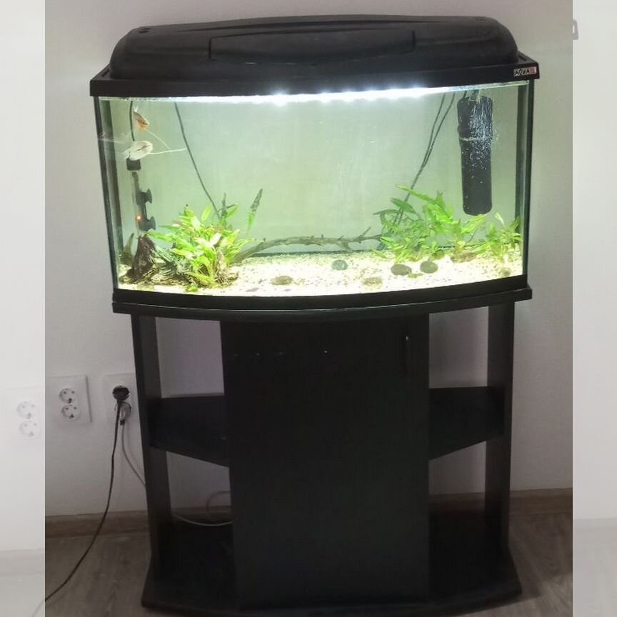 Аквариум aquael с тумбой 120л