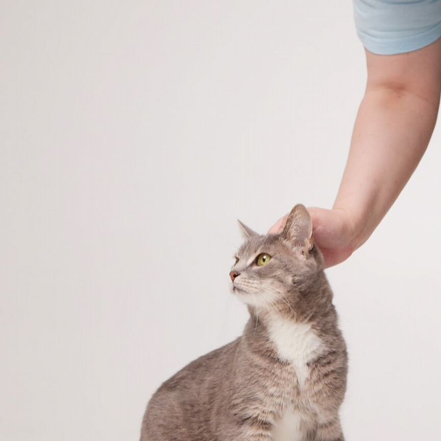 Прекрасная Джина ищет любящих людей