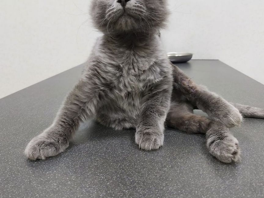 Мальчик, 3.5 месяца