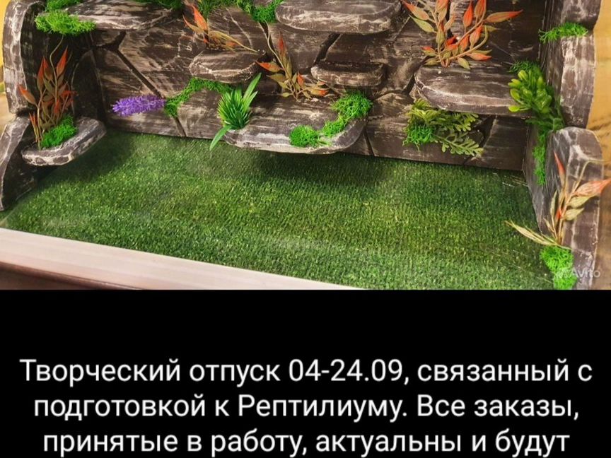 Новые террариумы для рептилий "под ключ"