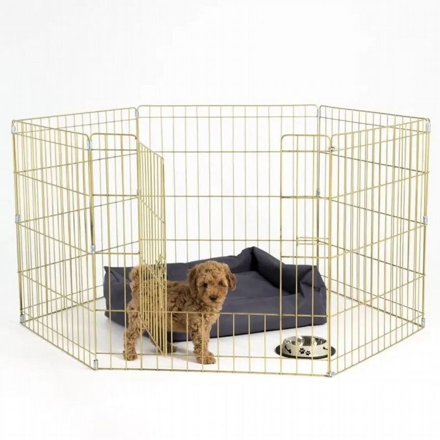 Вольер золото