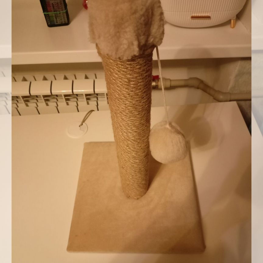 Когтеточка