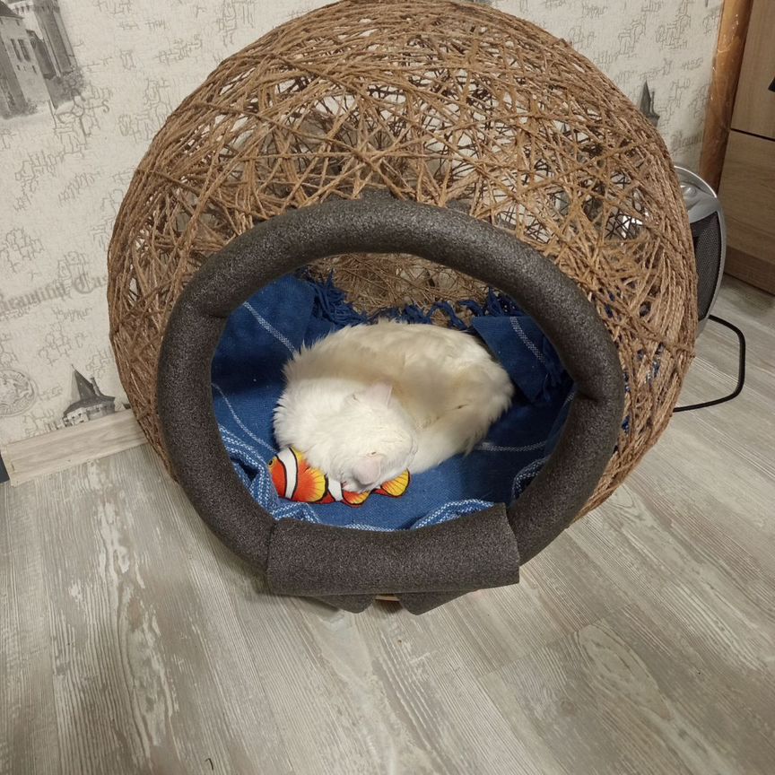 Домик для питомца