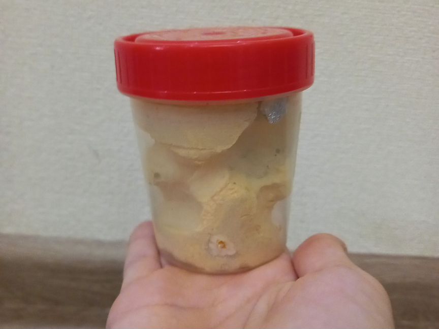 Отличный гипсовый формикарий