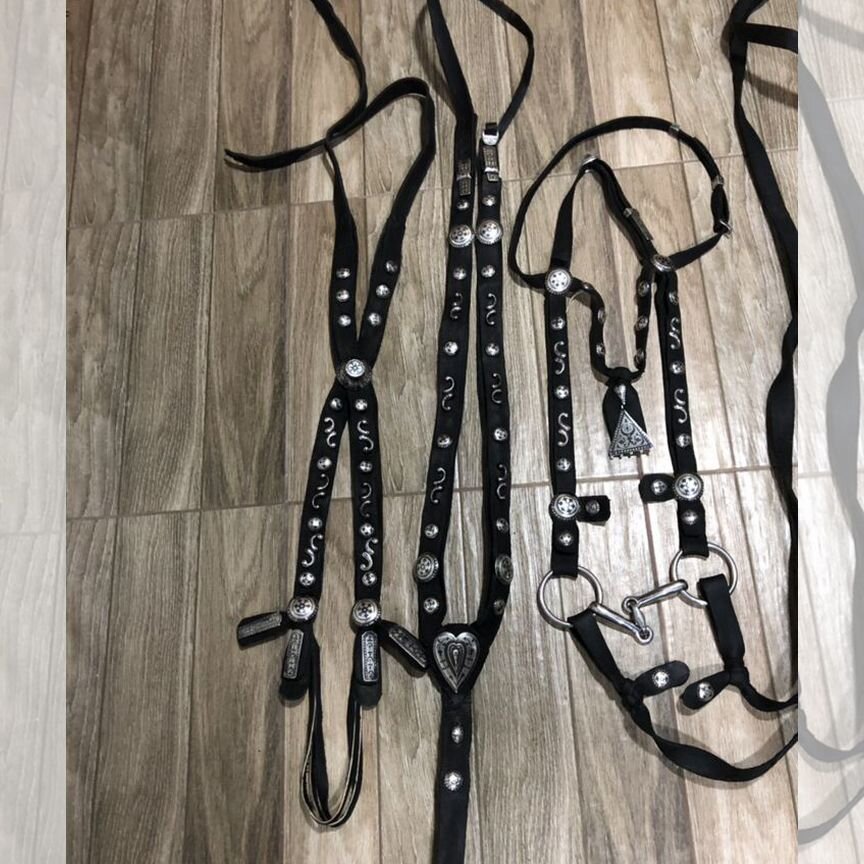 Амуниция для лошади из Серебра