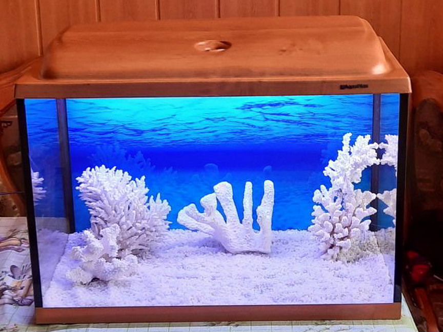 Аквариум в полной комплектации