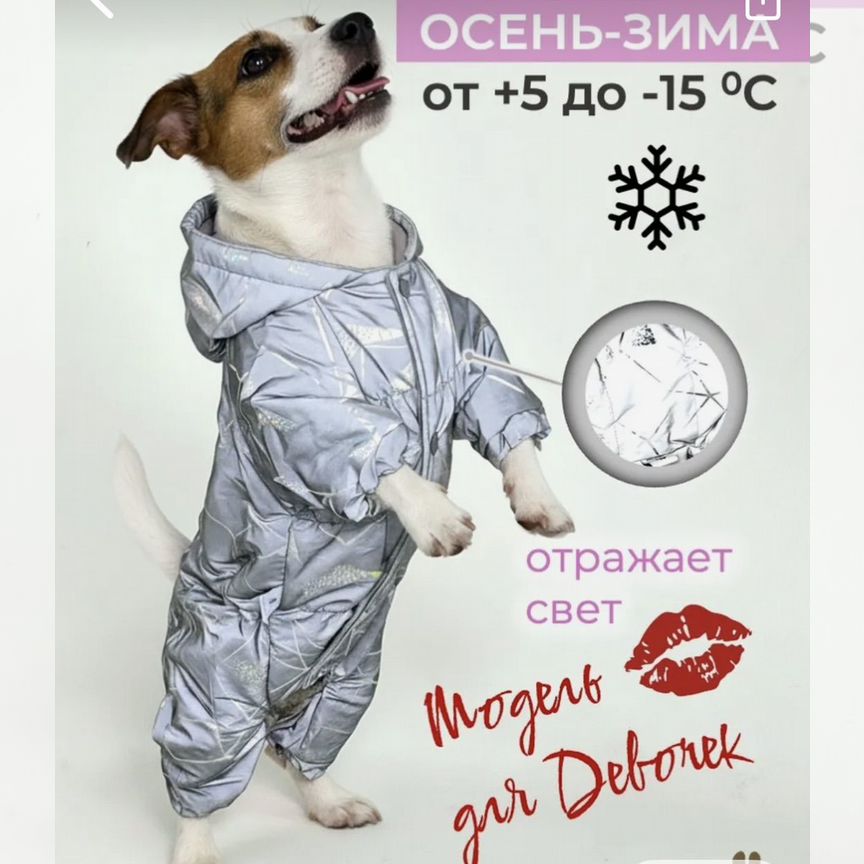 Одежда для собак комбинезон L