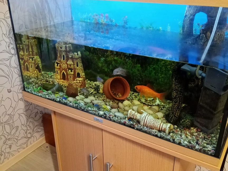 Аквариум с тумбой juwel