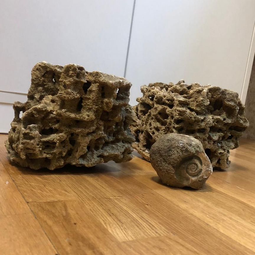 Крымский песчаник