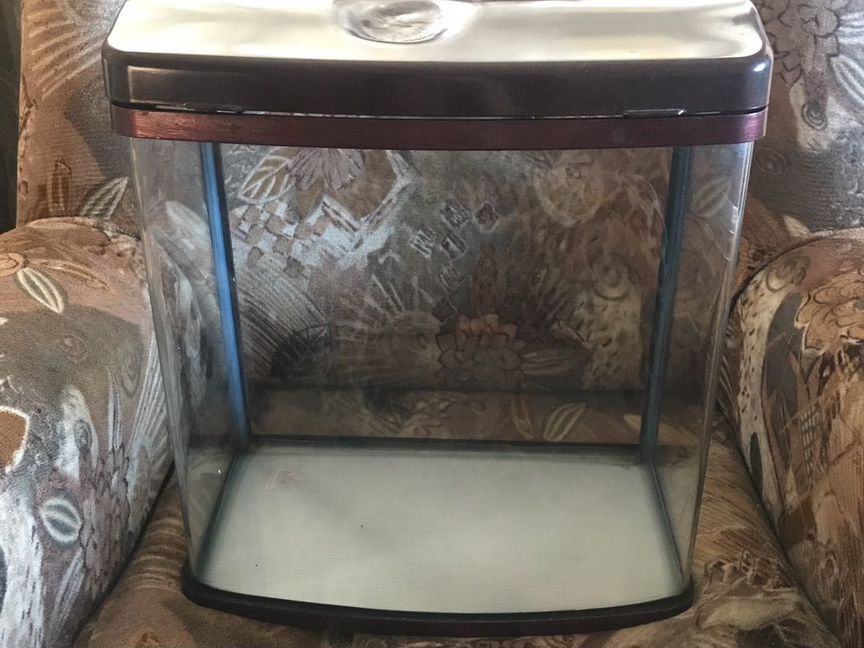 Аквариум террариум