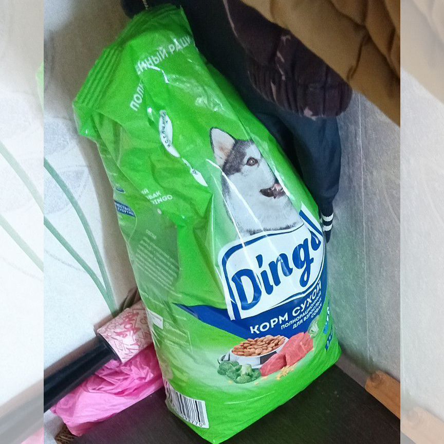 Продам корм для взрослых собак Dingo