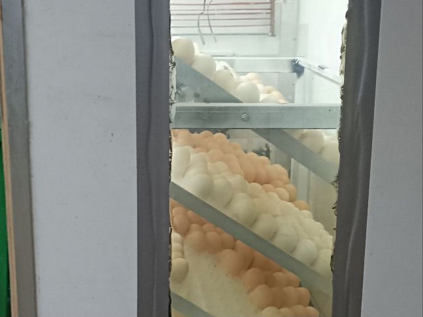 Инкубатор от 300 до 700 яйц