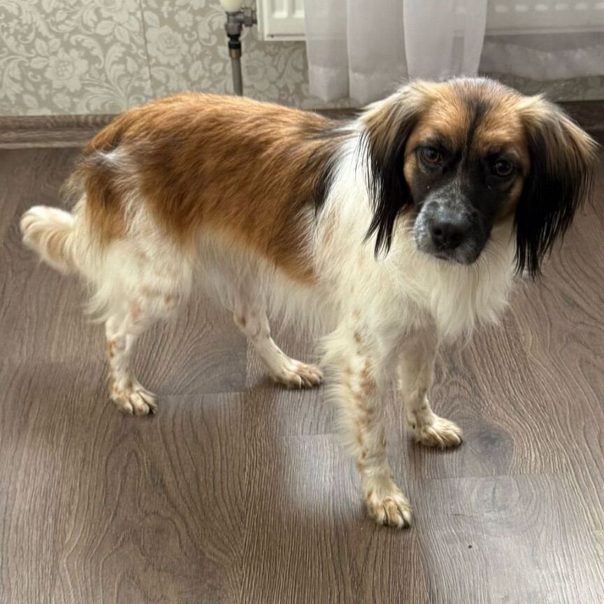 Ева ищет семью