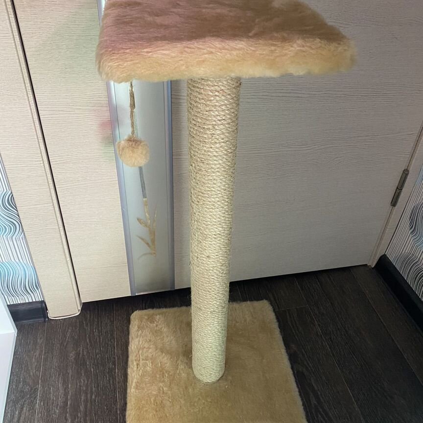 Когтеточка