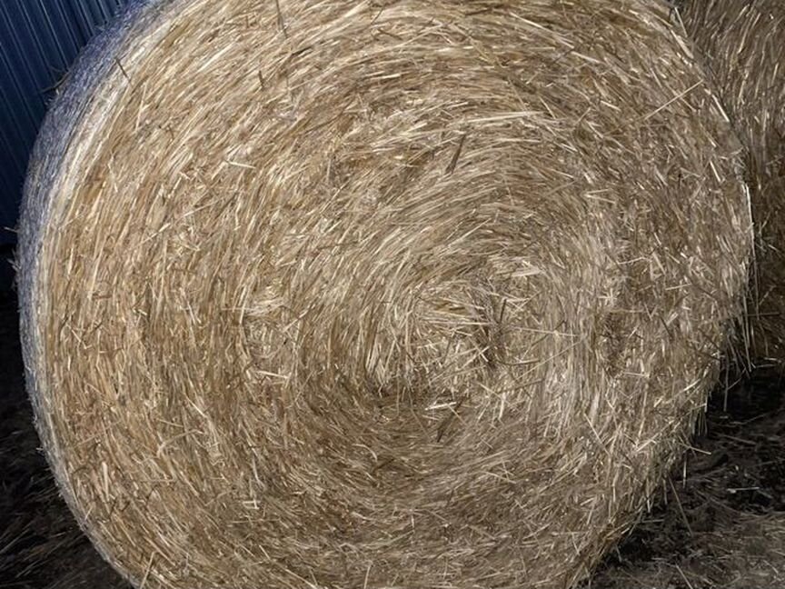 Солома в тюках