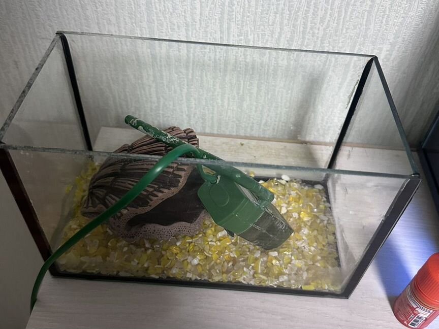 Аквариум