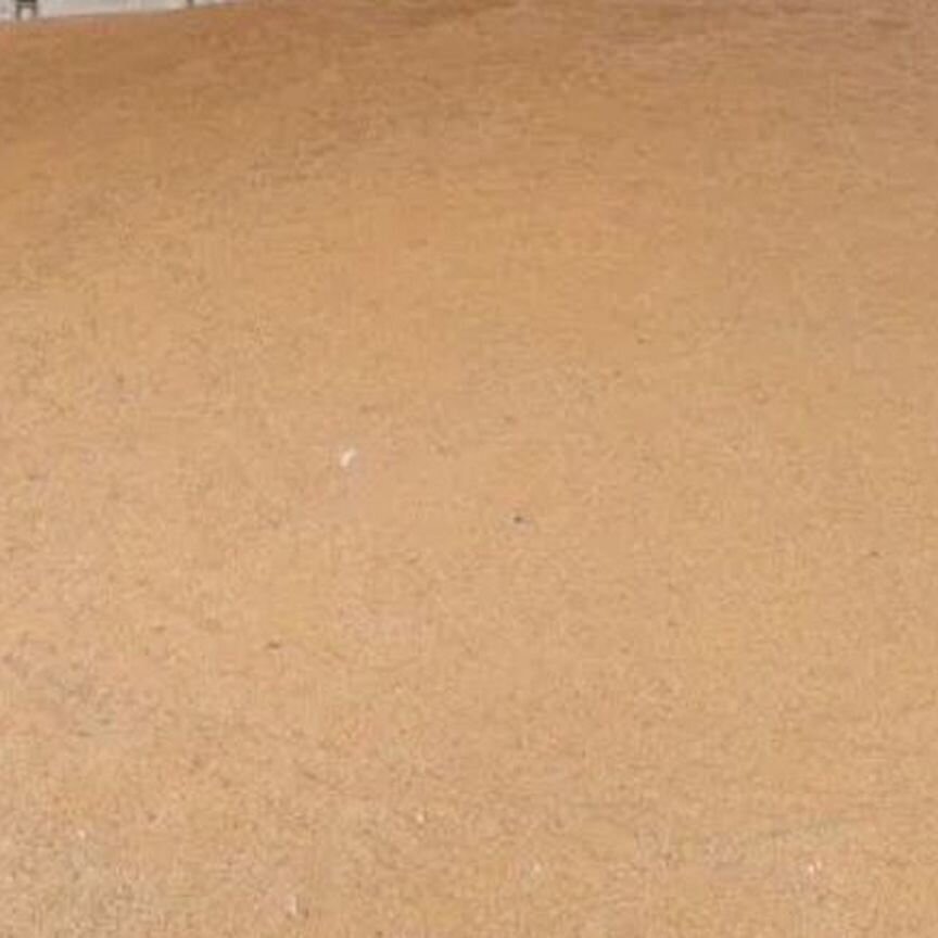 Продам просо 70 тонн