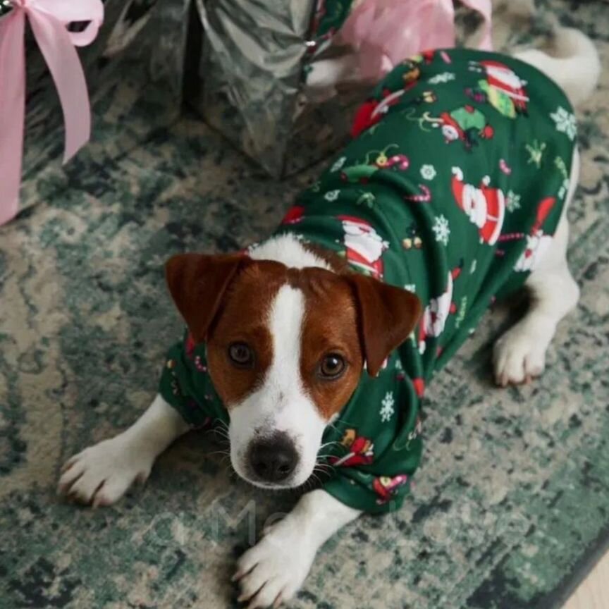 Свитшот для собак