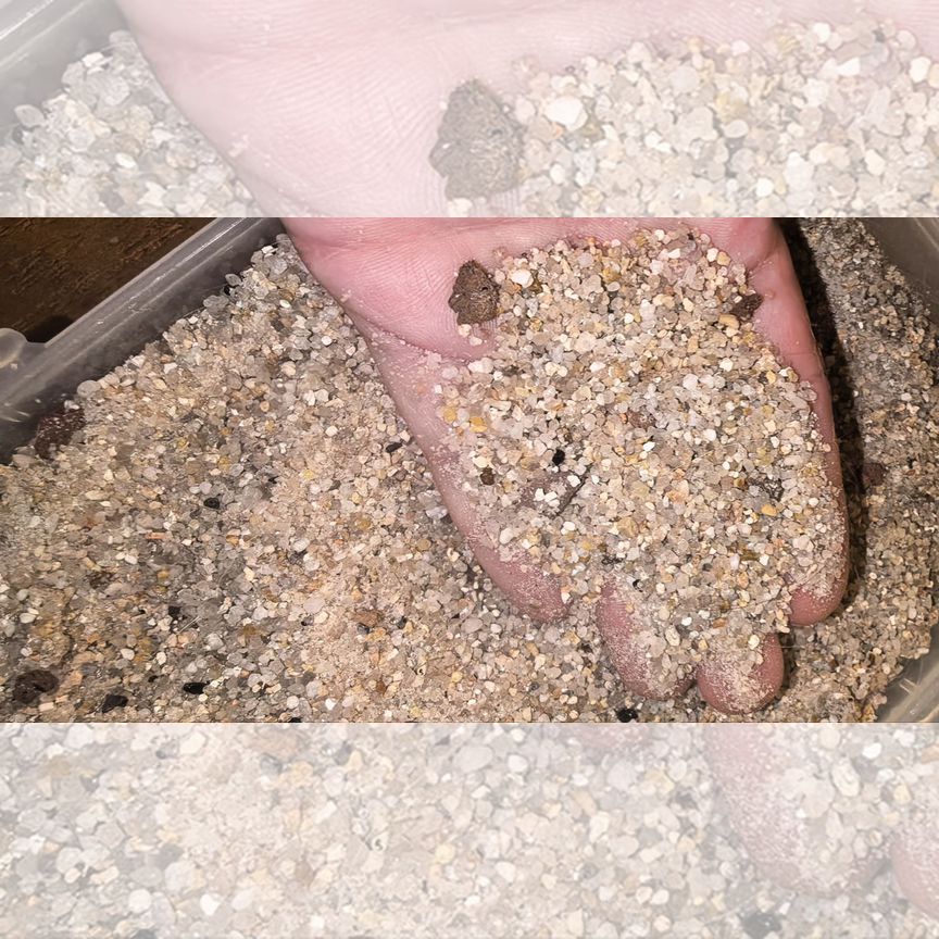 Песок для аквариума светлый крупный 30 кг