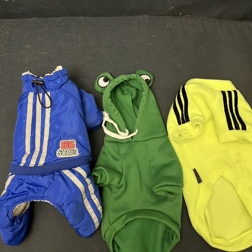 Вещи для малиньких собак