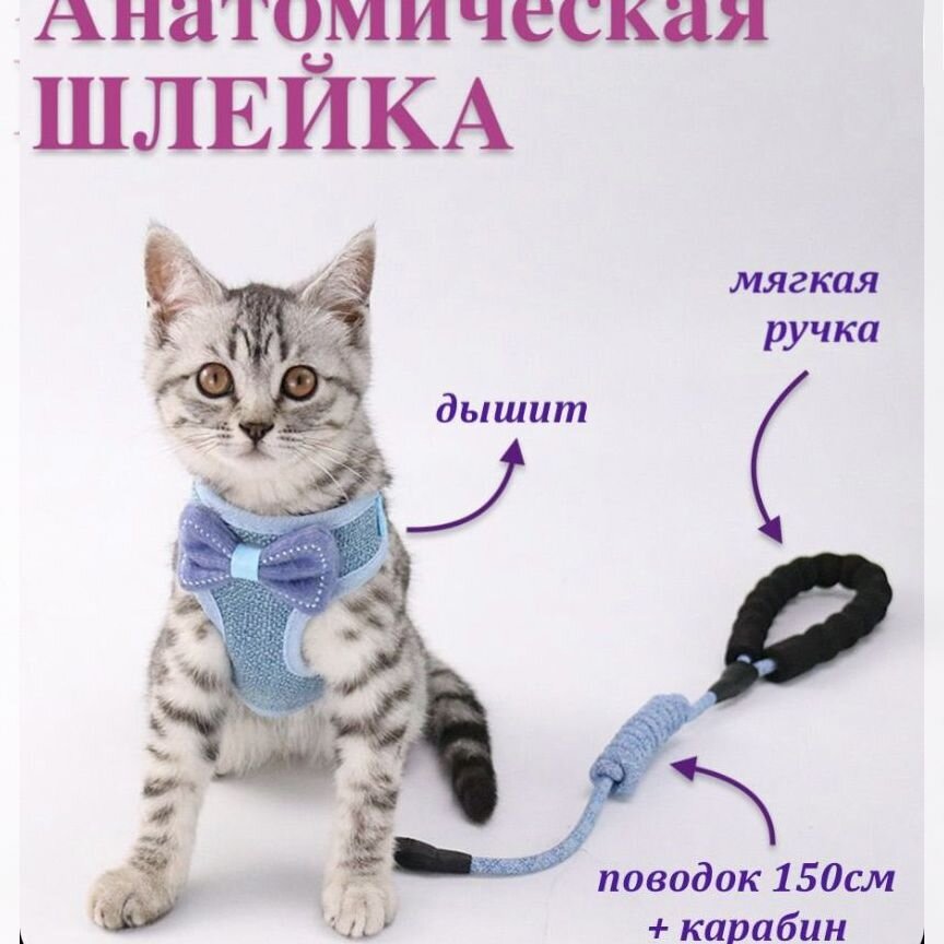 Шлейка для кошек