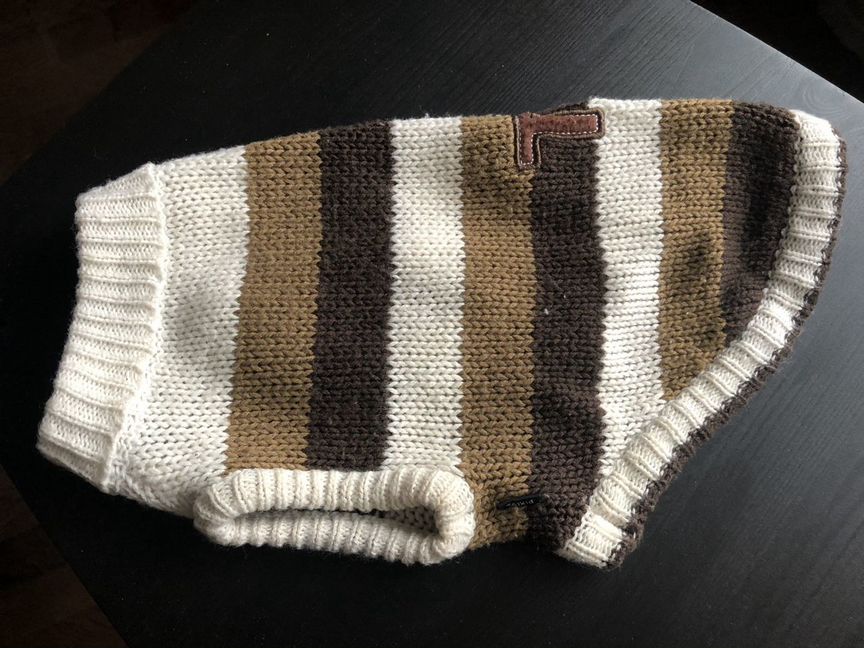 Одежда для собак