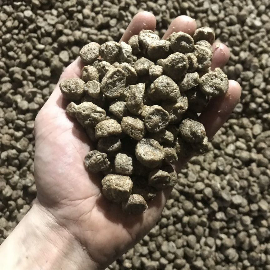 Сухой корм для собак