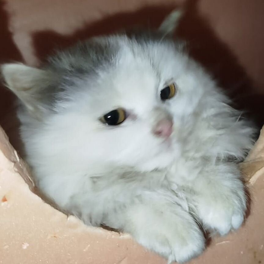 Малыши замерзают на улице