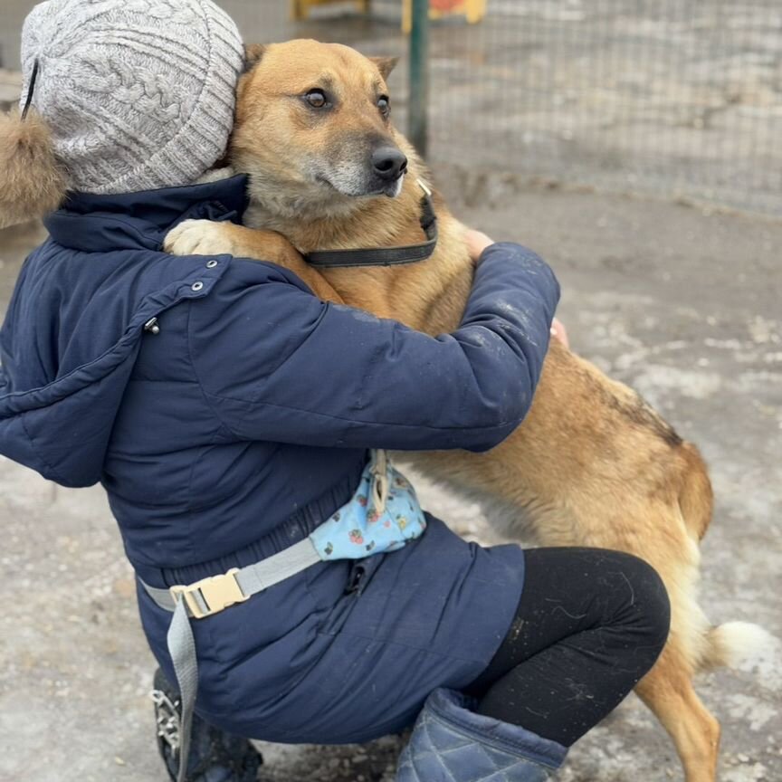 Пёс Федя самый добрый