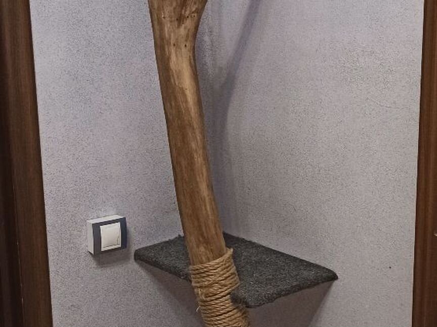 Кошачий комплекс или дерево для животных