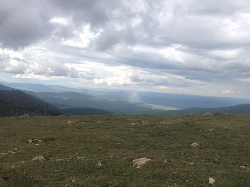 Ищу кота для вязки (Кот Абиссинец)