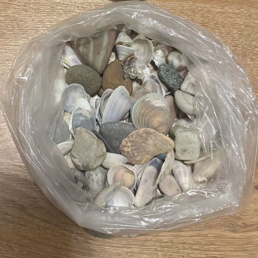 Камушки и ракушки для аквариума