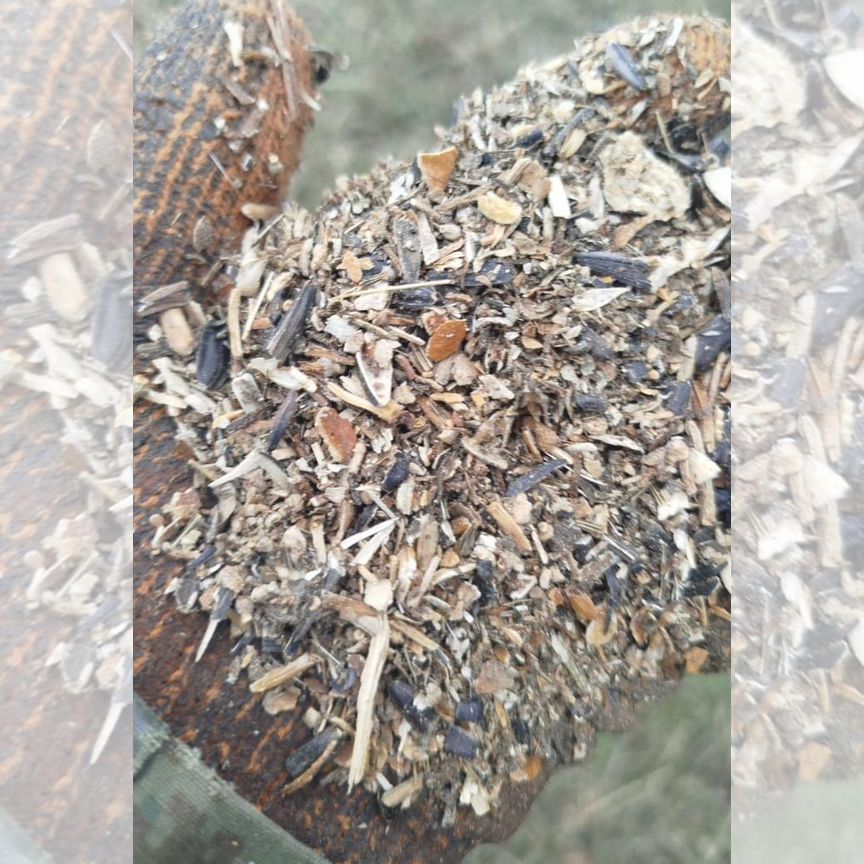 Зерноотходы подсолнечника корм для овец