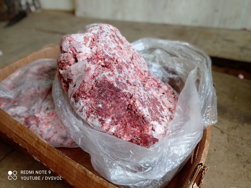 Корм для собак натуральный из курицы, заморозка