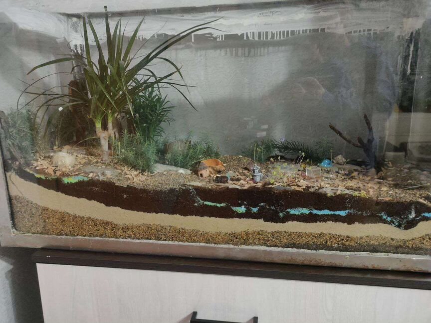 Аквариум - Террариум большой