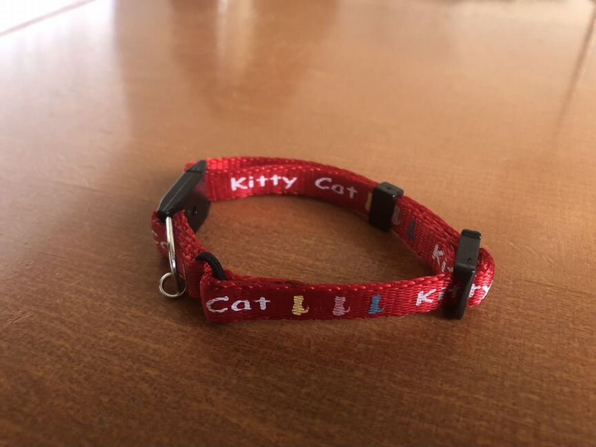 Ошейник для кошек красный