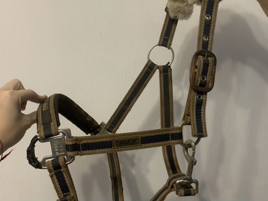 Конная амуниция