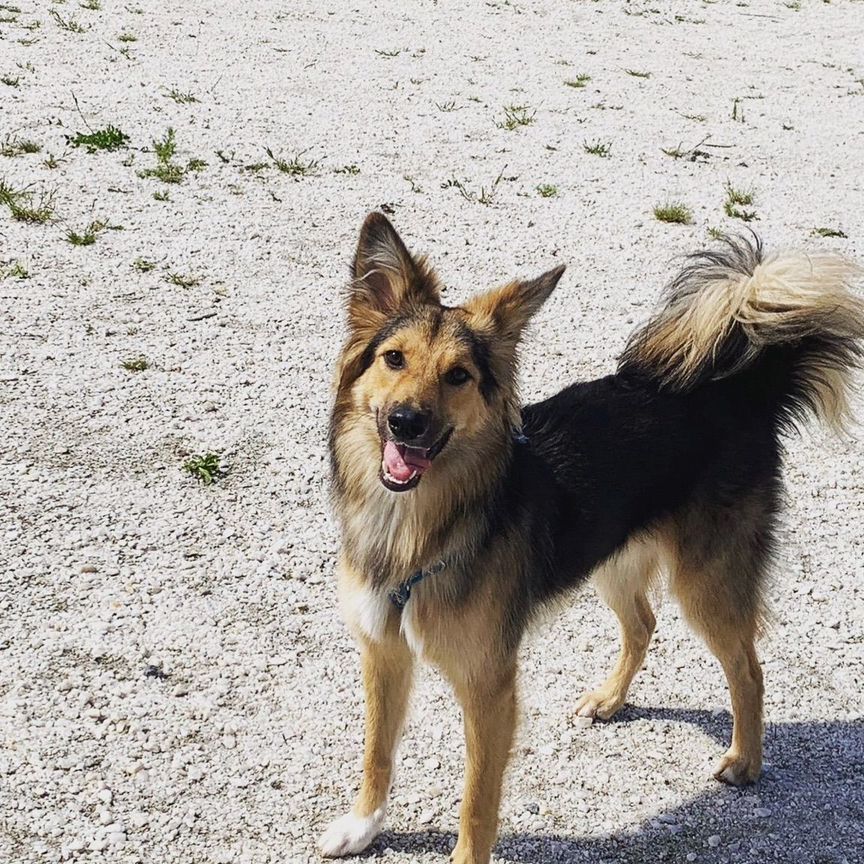 Мальчик Кузя в добрые руки