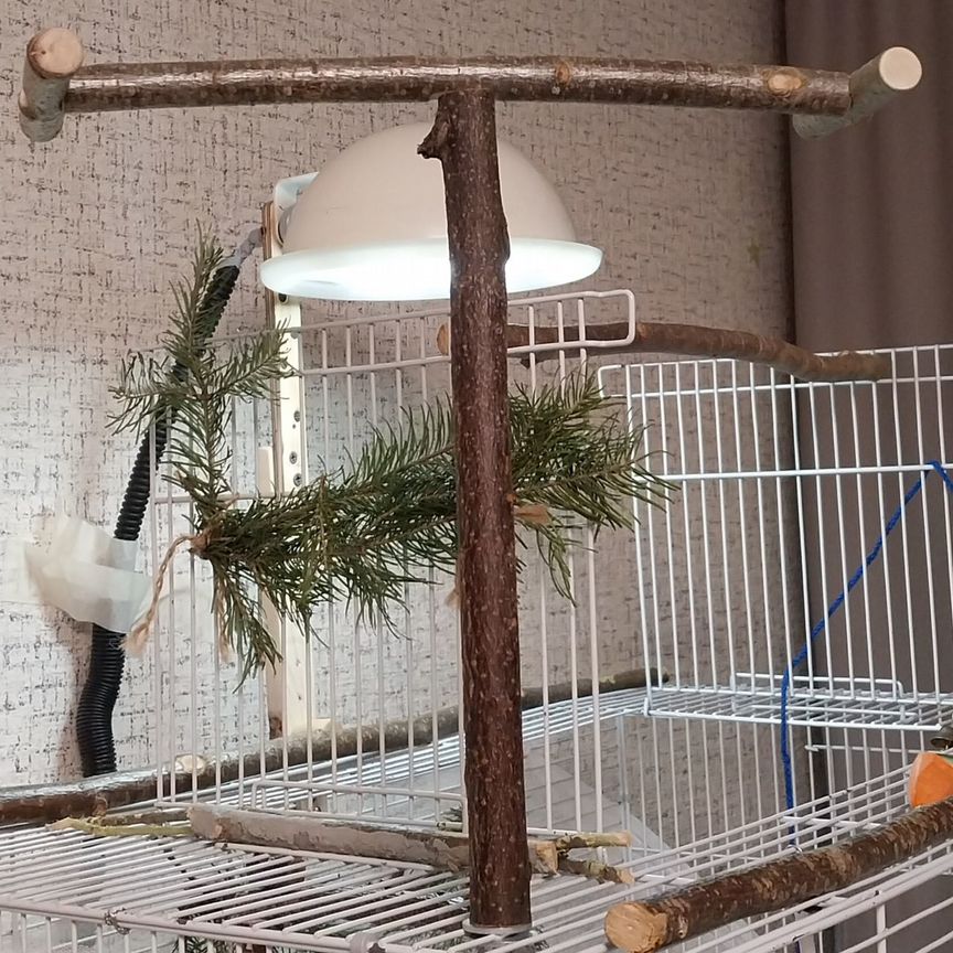 Жердочки для птиц